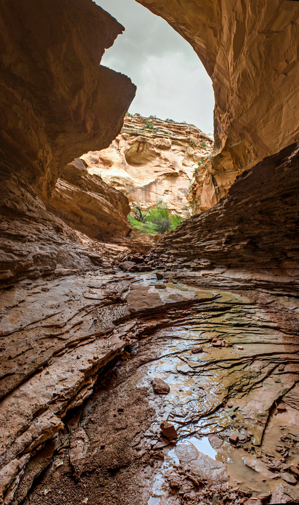 Mee Canyon Alcove - Cave near Mack, Colorado - Free Arenas