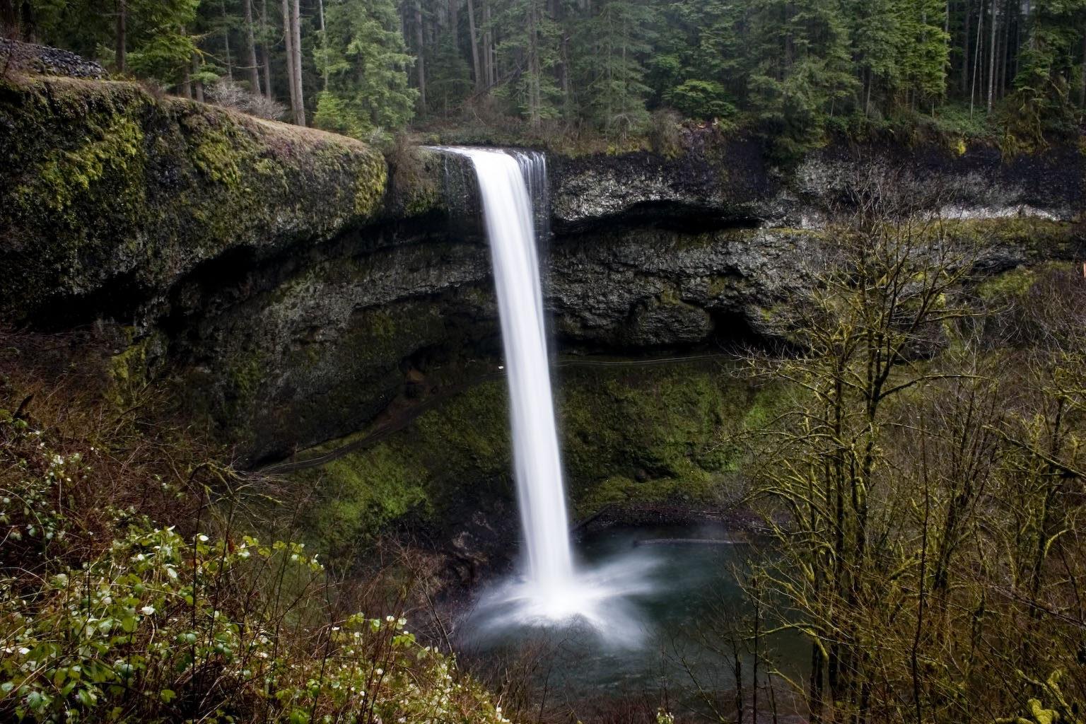 Silver Falls State Park - Camp, Hike, Horseback, and Swim near ...