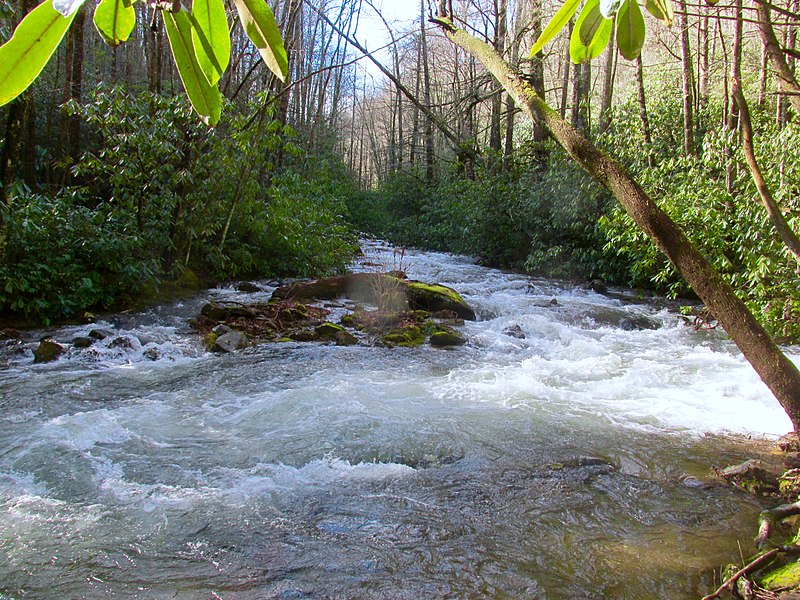 North Mills River - Swim near Mills River, North Carolina - Free Arenas