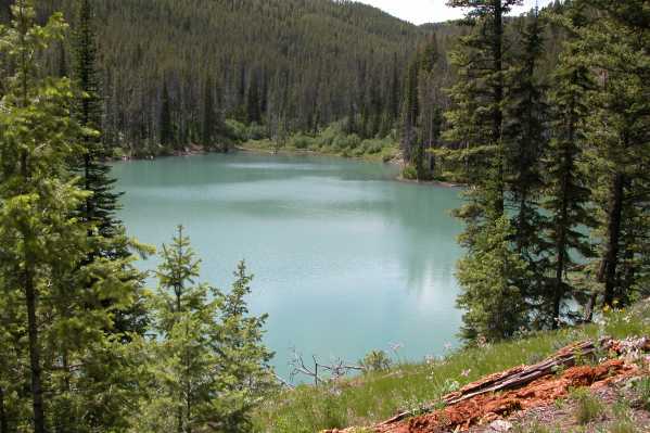 Packsaddle Lake - Dive, Hike, Mountain Bike, Snowshoe, and Swim near ...