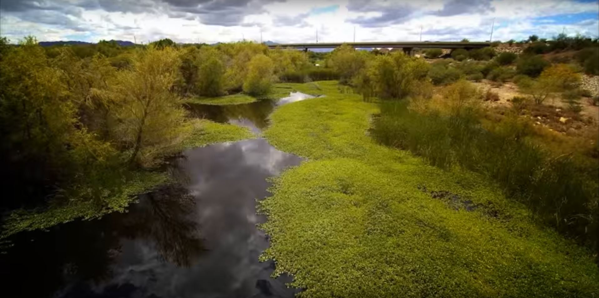 Rio Salado Habitat Restoration Area - Hike near Phoenix, Arizona - Free ...