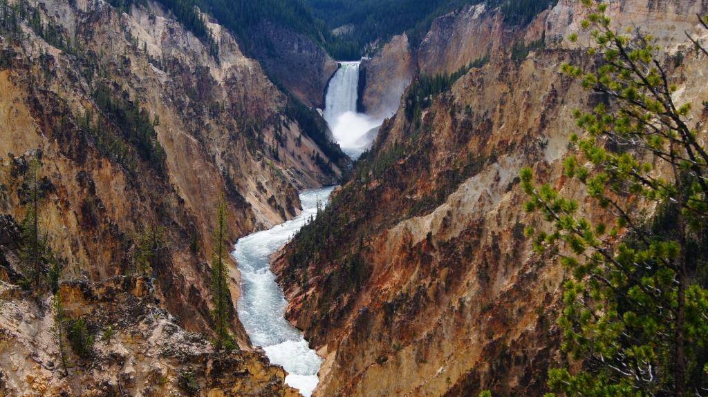 Lower Falls of the Yellowstone - Hike near Canyon Village, Yellowstone ...