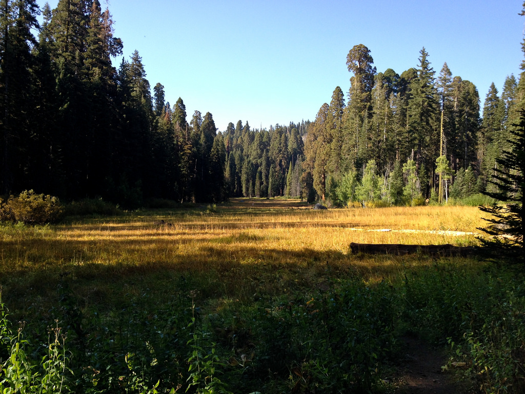 Crescent Meadow in Sequoia National Park - Camp and Hike near Sequoia ...