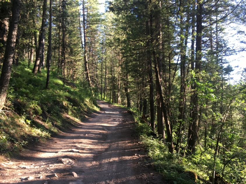 Webster's Dam - Camp, Hike, and Mountain Bike near Ririe, Idaho - Free ...