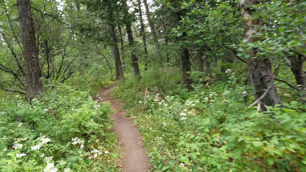 Buckskin Morgan Ridge - Hike and Mountain Bike near Ririe, Idaho - Free ...