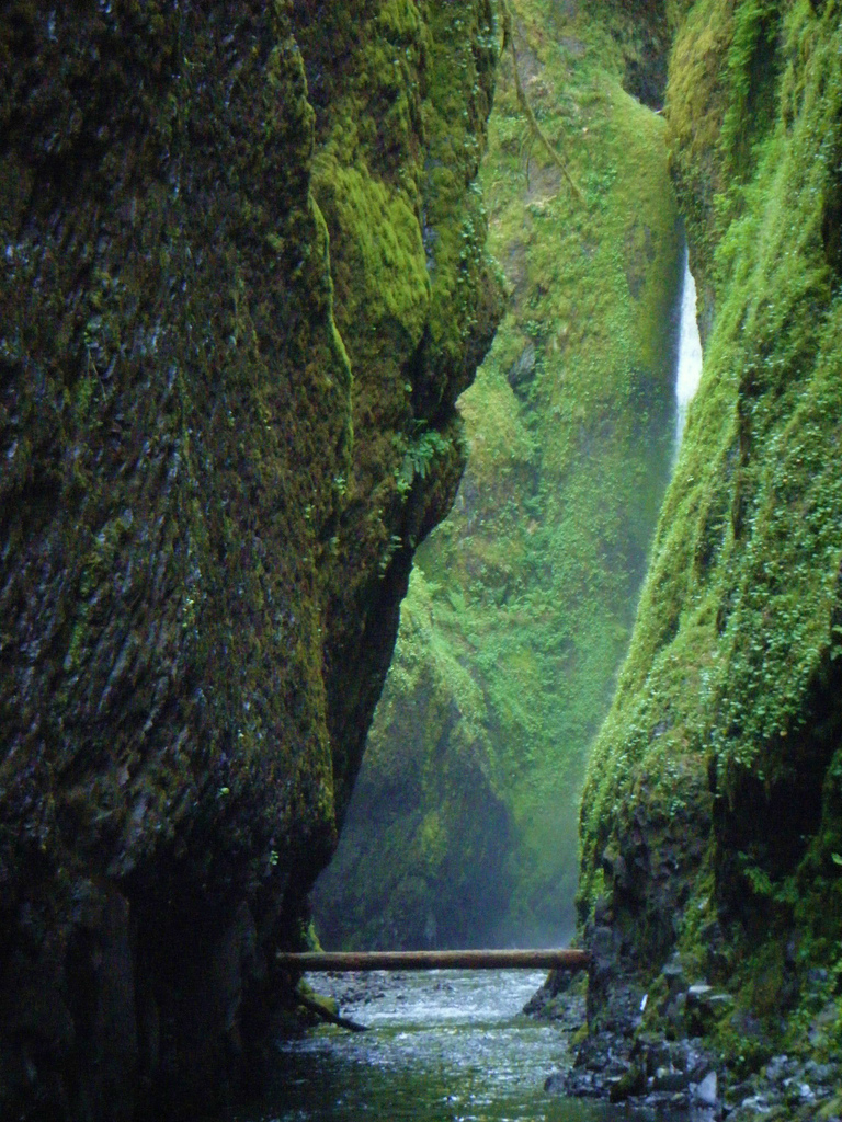Oneonta Gorge - Hike and Swim near Cascade Locks, Oregon - Free Arenas