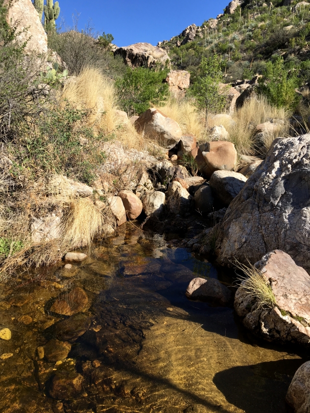 Montrose Pool - Hike and Swim near Tucson, Arizona - Free Arenas