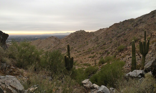 Freedom Loop Trail (#302) - Hike near Phoenix, Arizona - Free Arenas