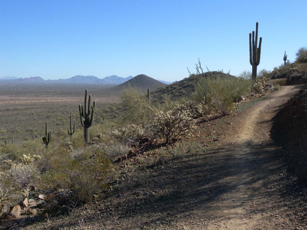 Dixie Mountain Loop Trail - Hike, Horseback, and Mountain Bike near ...