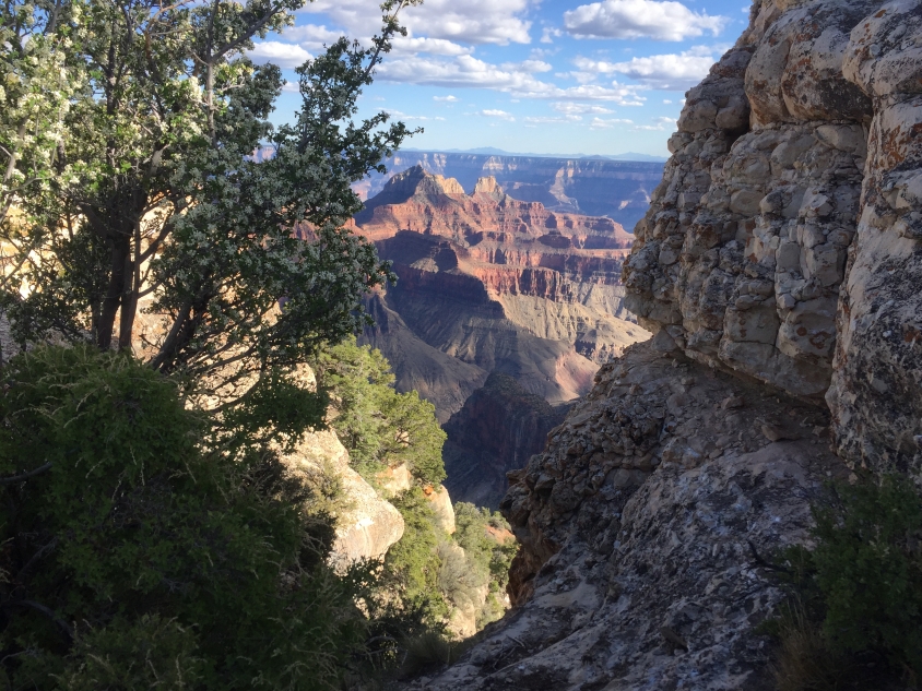 Bright Angel Point Trail - Hike near North Rim, Arizona - Free Arenas