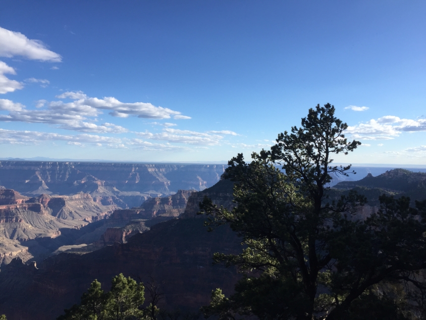 Bright Angel Point Trail - Hike near North Rim, Arizona - Free Arenas