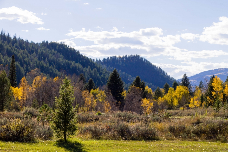 Big Elk Campground - Camp near Irwin, Idaho - Free Arenas