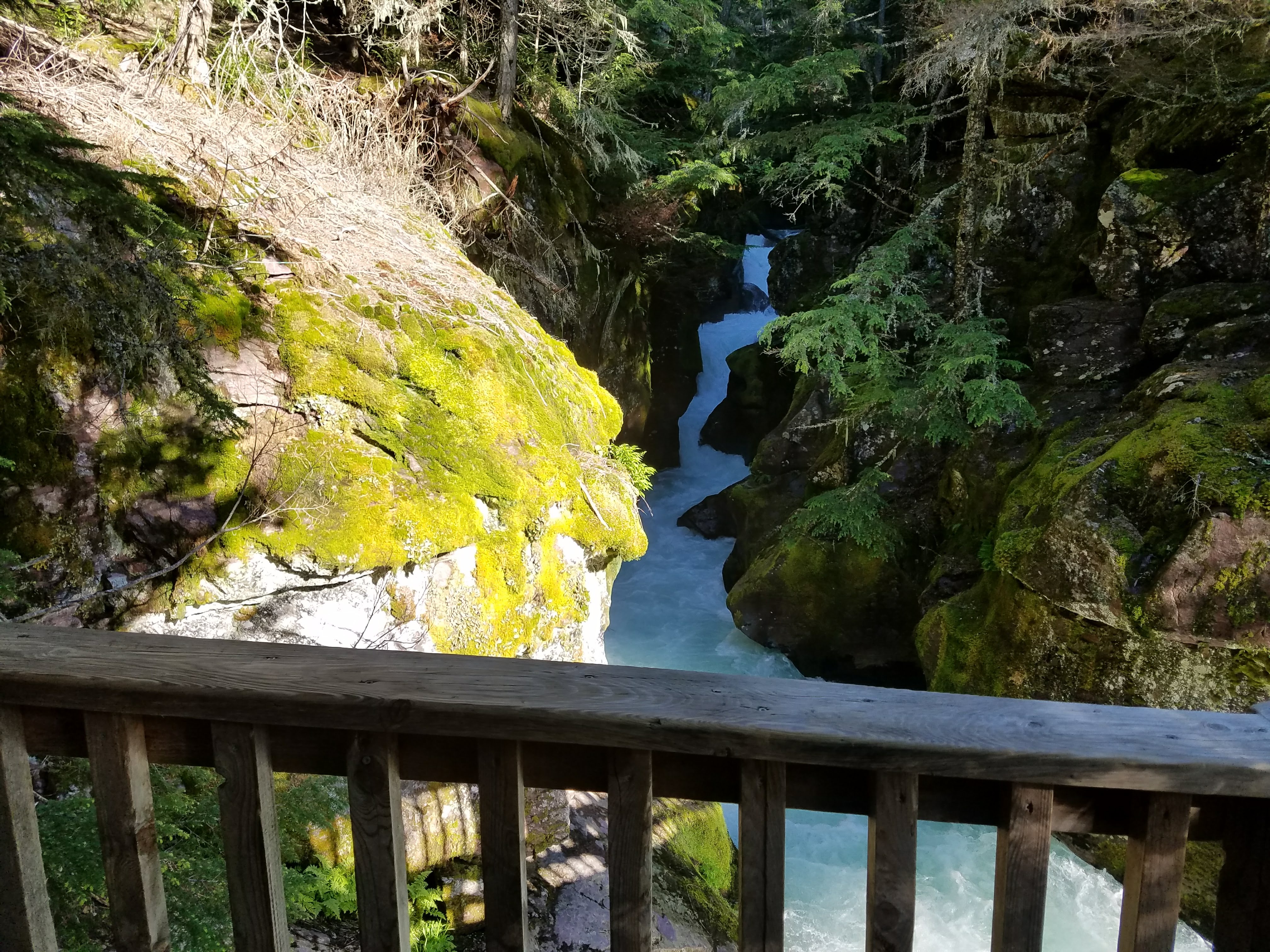 Avalanche Lake - Hike near Apgar Village, Glacier National Park - Free ...