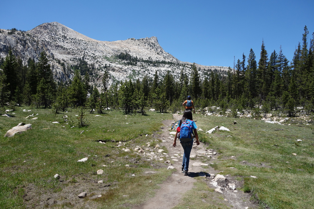 Elizabeth Lake - Hike and Swim near Wawona, California - Free Arenas