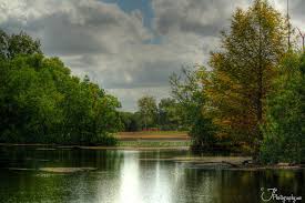 Landa Park - Hike and Swim near New Braunfels, Texas - Free Arenas