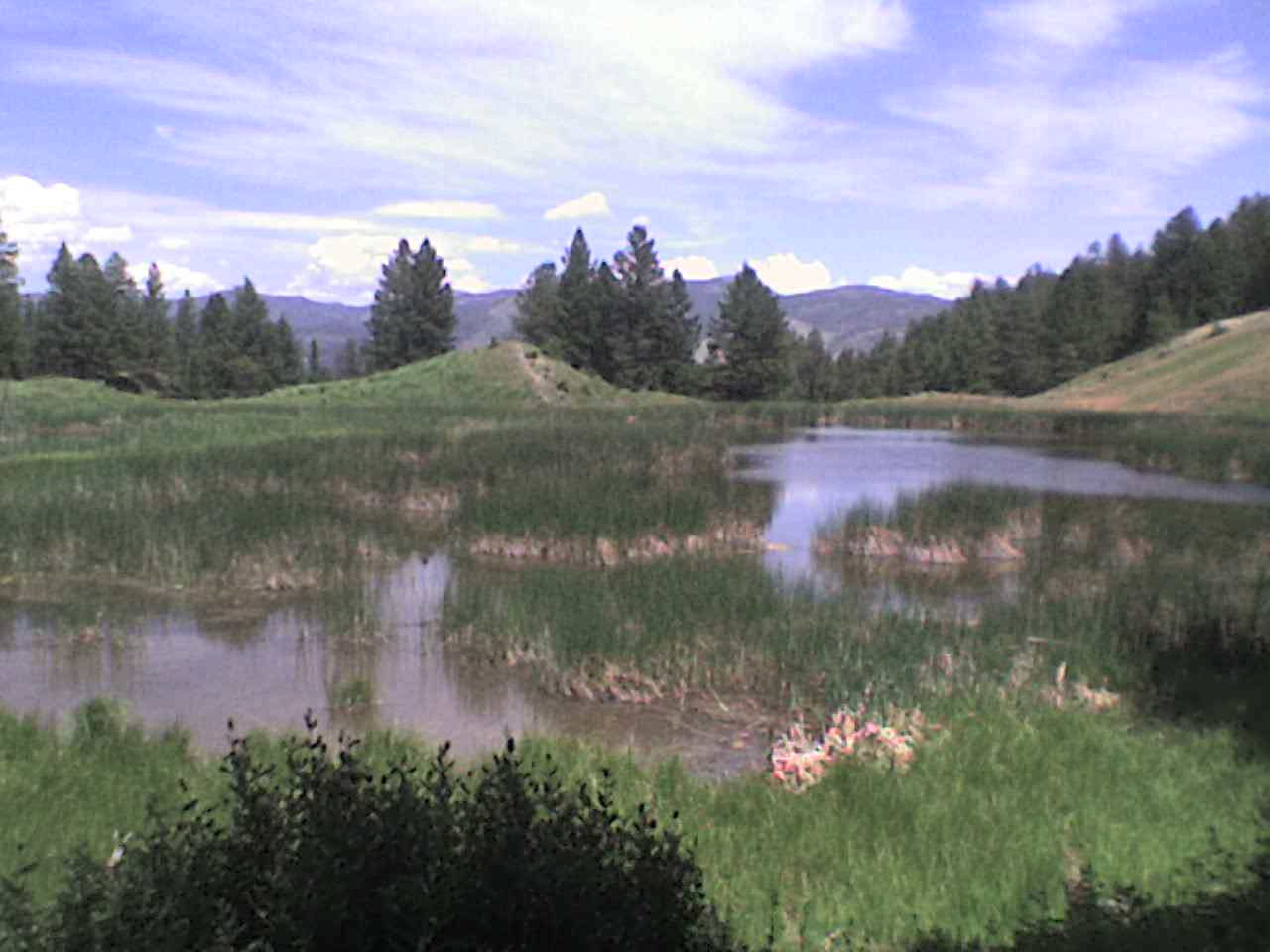 Beaver Ponds Trail - Hike near Mammoth, Yellowstone National Park ...