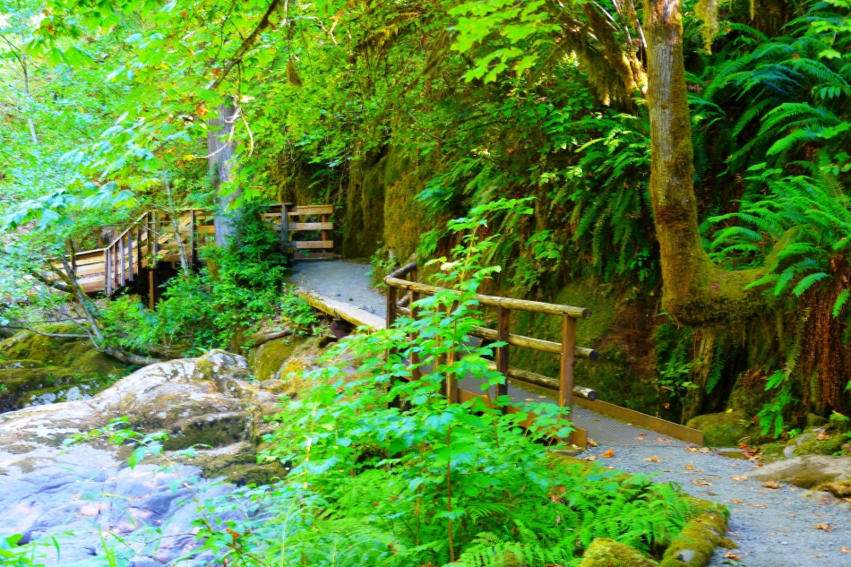 Sweet Creek Falls - Hike near Mapleton, Oregon - Free Arenas