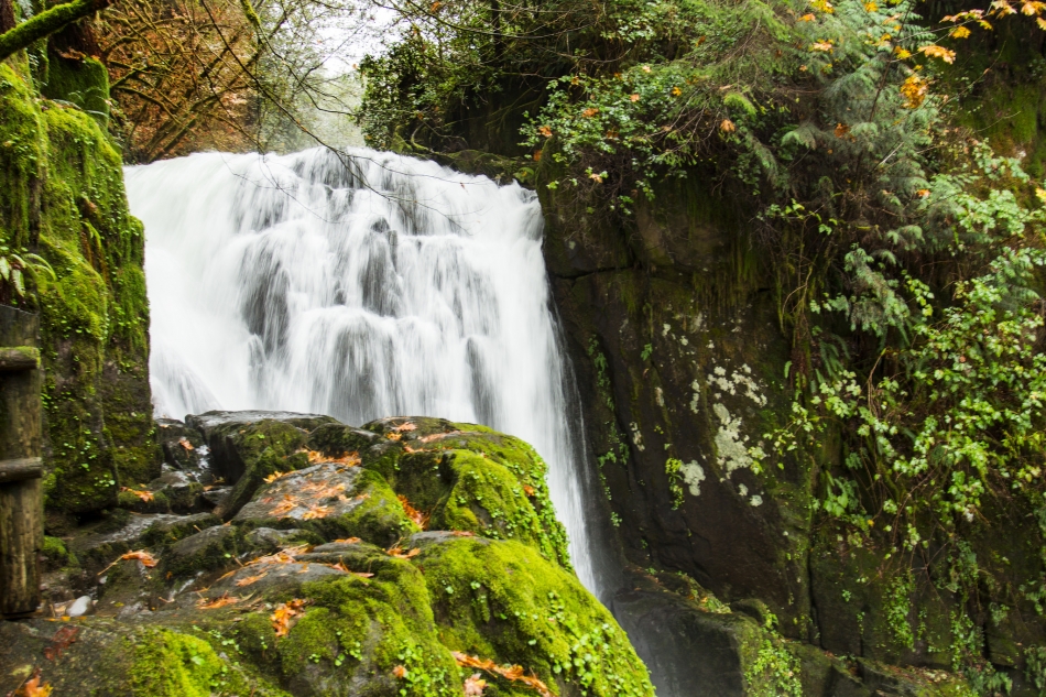 Sweet Creek Falls - Hike near Mapleton, Oregon - Free Arenas