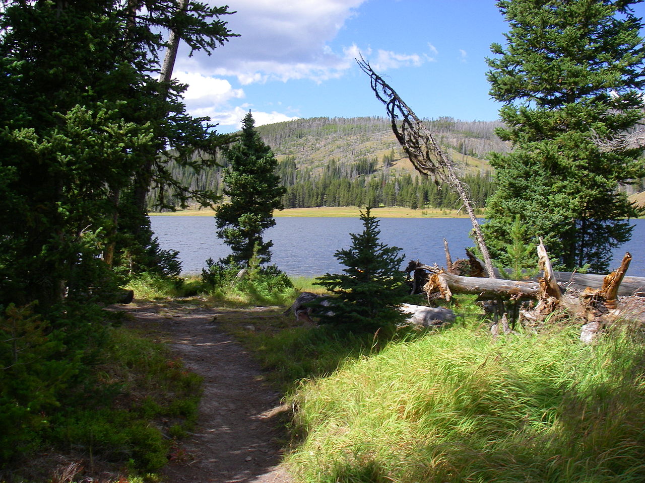 Grebe Lake Trail - Hike near Canyon Village, Yellowstone National Park ...
