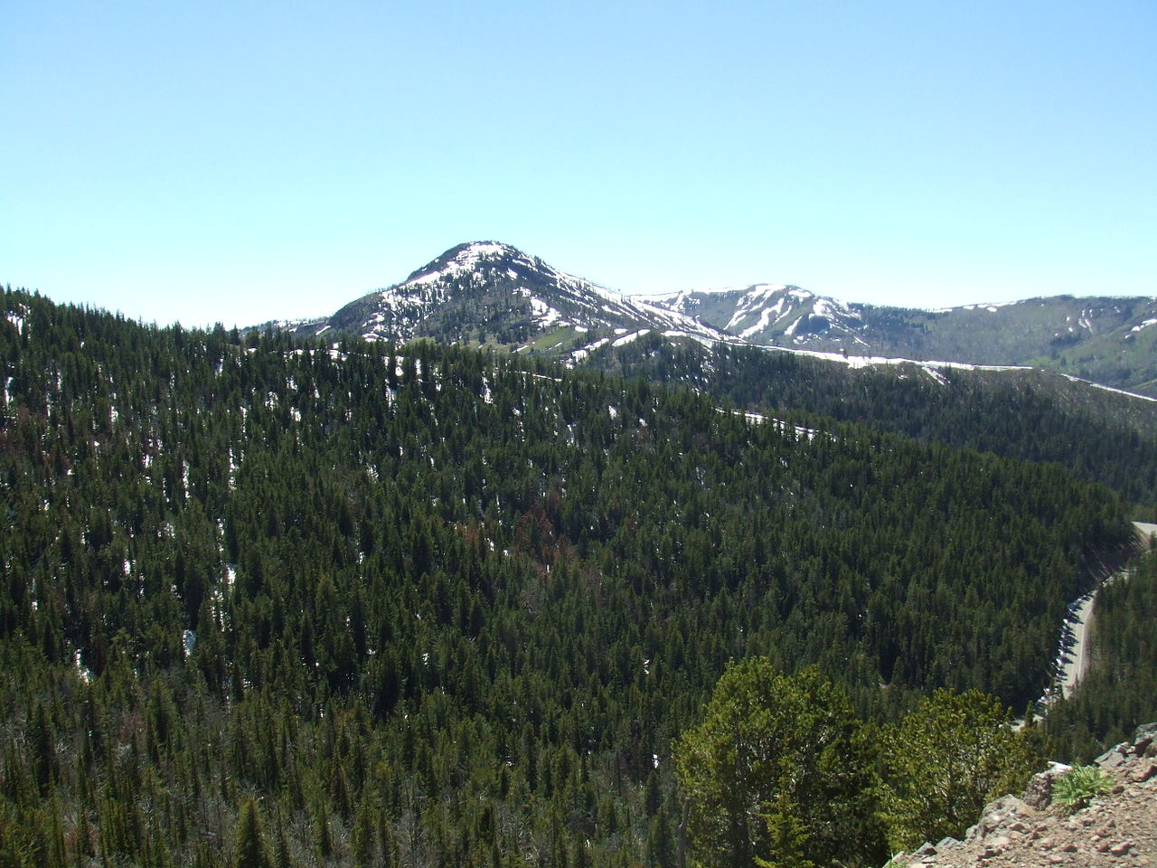 Mount Washburn Spur Trail - Hike near Canyon Village, Yellowstone ...