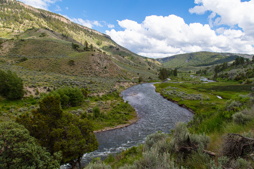 Lava Creek Trail - Hike near Mammoth Hot Springs, Yellowstone National ...
