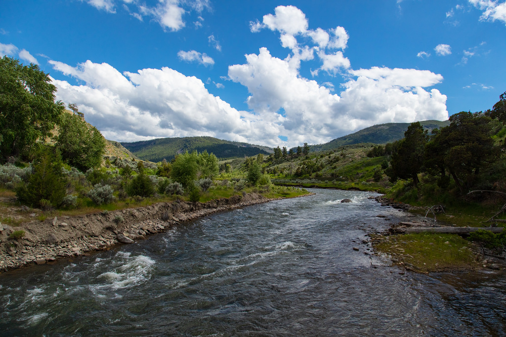 Lava Creek Trail - Hike near Mammoth Hot Springs, Yellowstone National ...