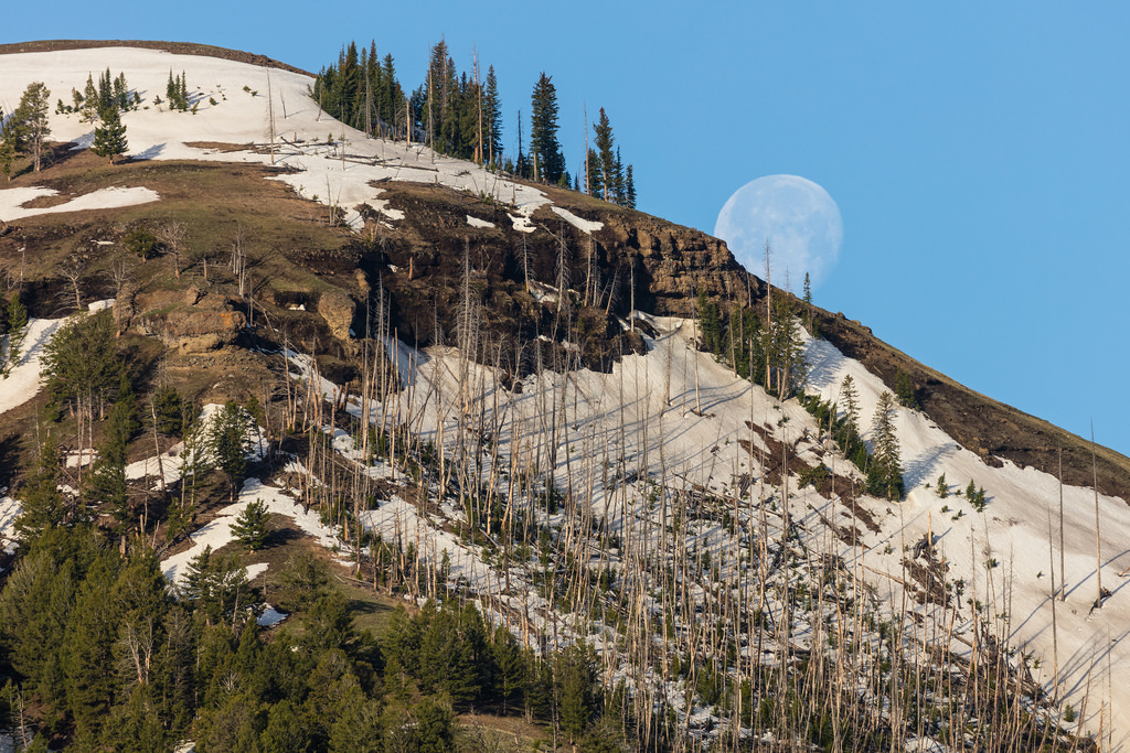 Specimen Ridge Trail (2K4) - Hike near Buffalo Ford, Wyoming - Free Arenas