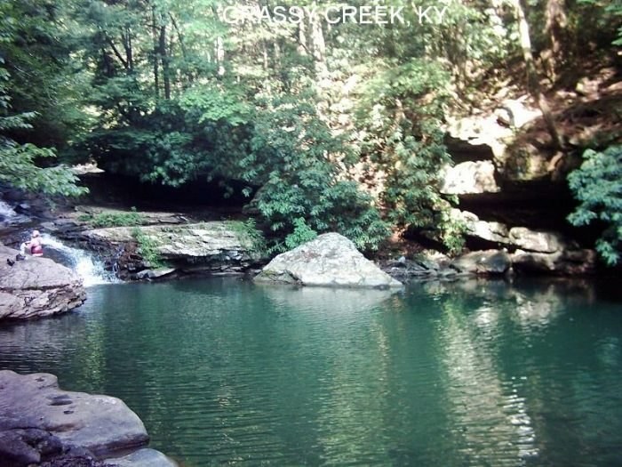Grassy Creek - Swim near Mize, Kentucky - Free Arenas