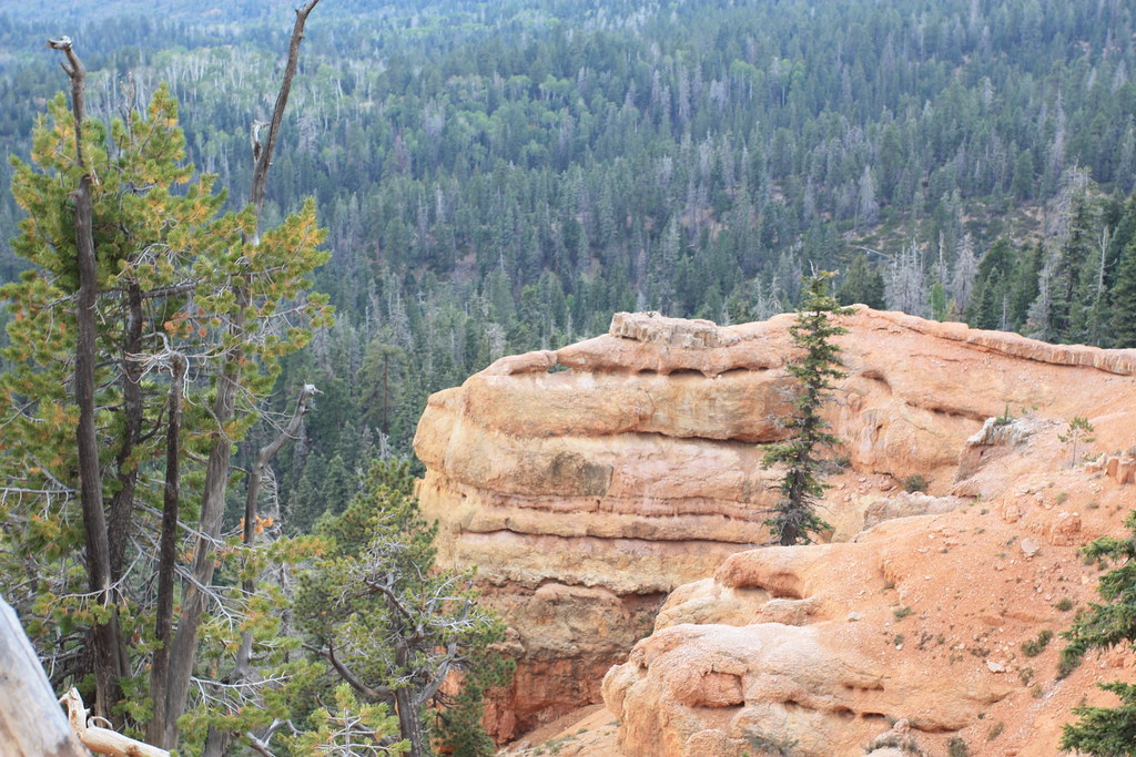 Cascade Falls - Hike near Cedar City, Utah - Free Arenas