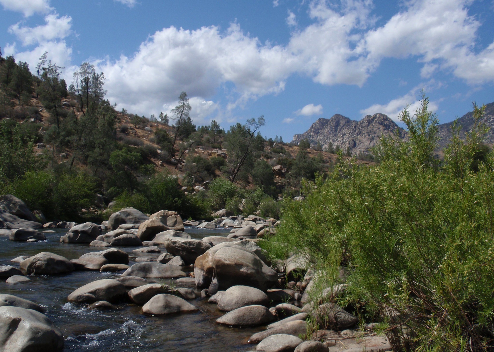 Limestone Campground - Camp, Kayak, and Swim near Kernville, California ...