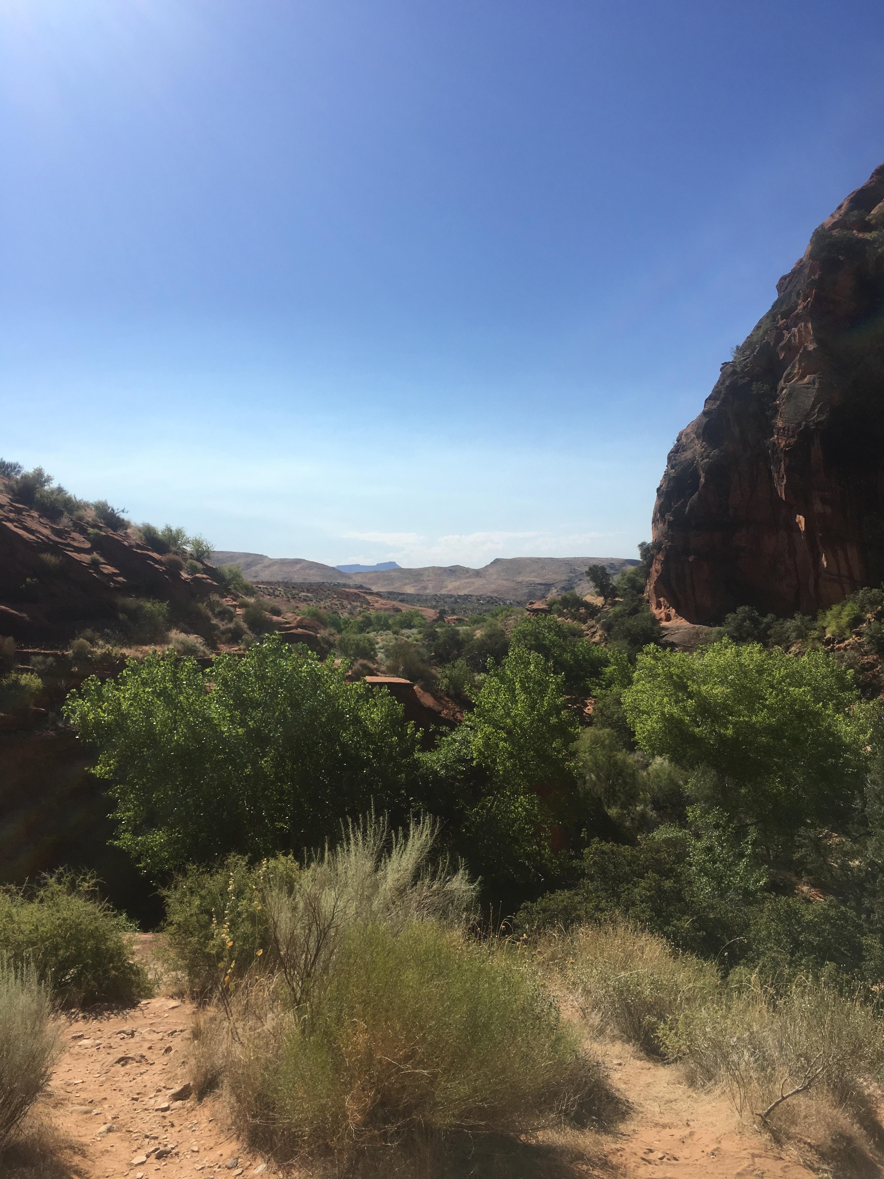 Red Reef trail - Hike near Hurricane, Utah - Free Arenas