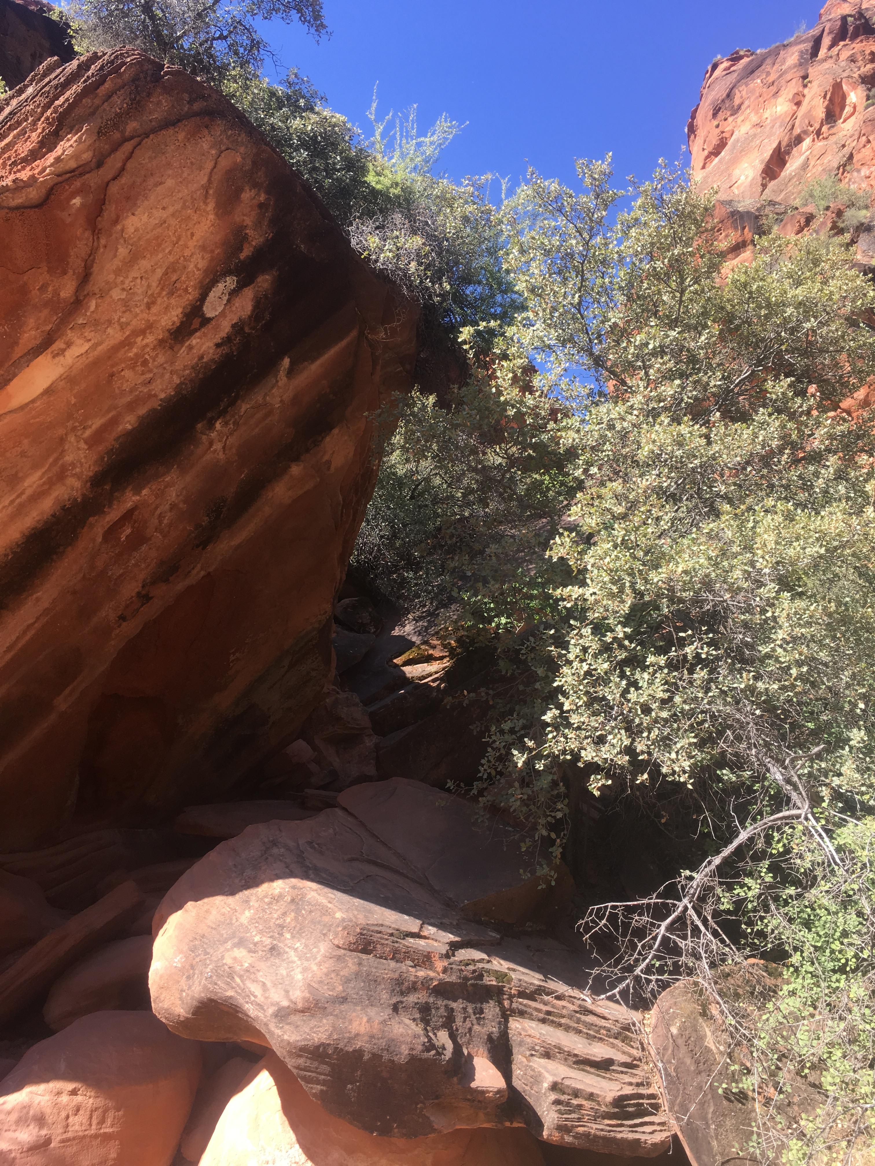 Red Reef trail - Hike near Hurricane, Utah - Free Arenas