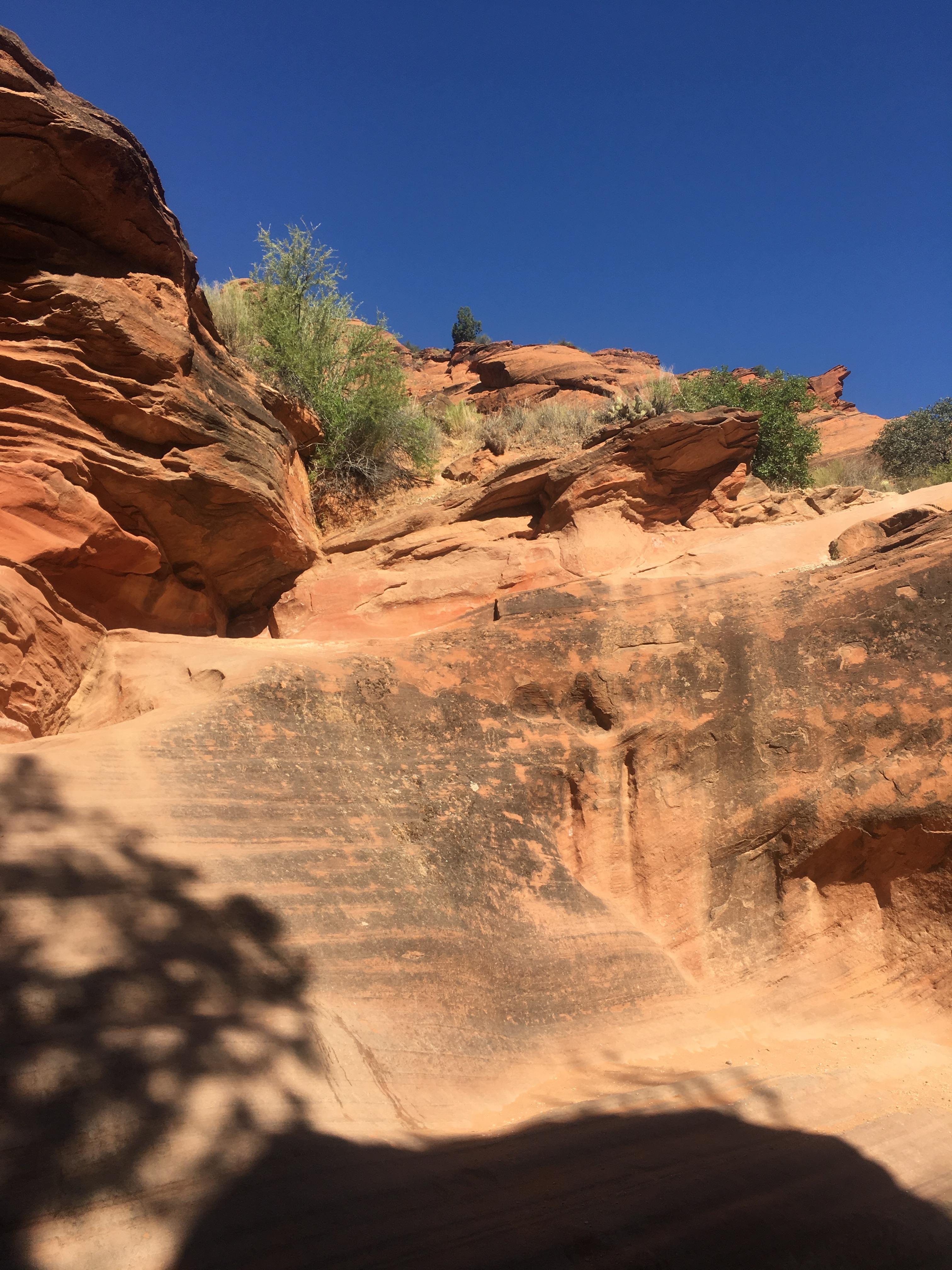 Red Reef trail - Hike near Hurricane, Utah - Free Arenas