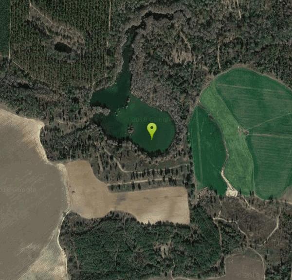 Blue Hole - Canoe near Cordele, Georgia - Free Arenas