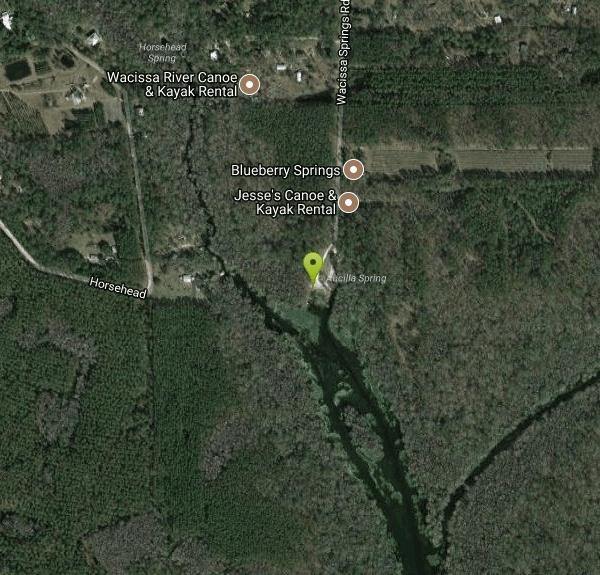 Wacissa River - Swim near Greenville, Florida - Free Arenas