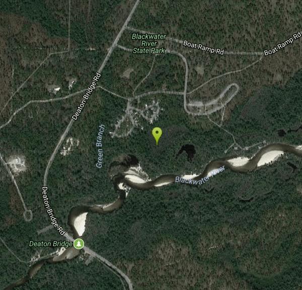 Blackwater River State Park - Swim near Milton, Florida - Free Arenas