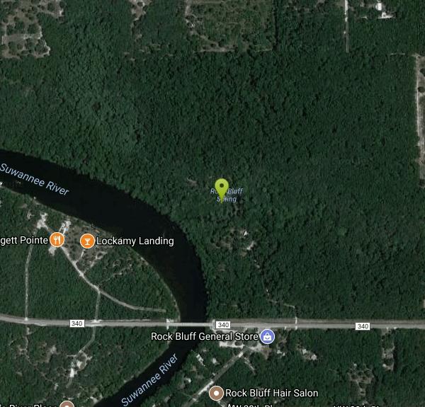 Rock Bluff Springs - Swim near Bell, Florida - Free Arenas