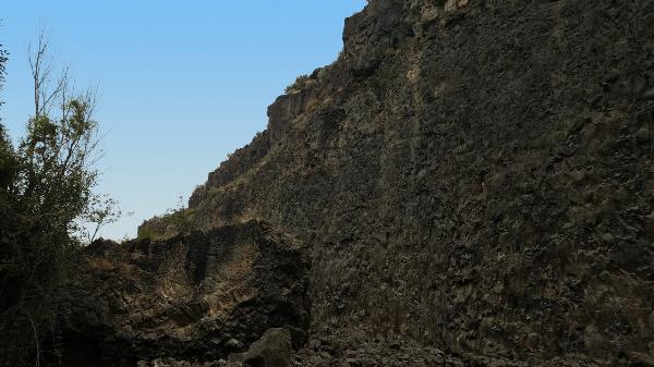 214 Things to do near Blacktail Day Use Area - Free Arenas