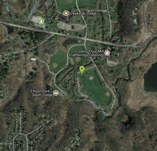 Ellison Park - Disc Golf near Rochester, New York - Free Arenas