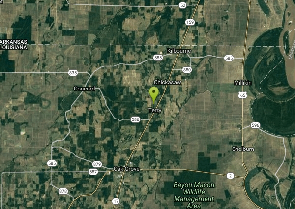 7 Things to do near Oak Grove, Louisiana, USA - Free Arenas