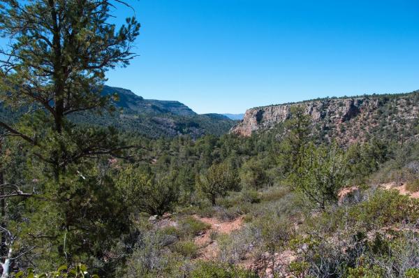 95 Things to do near Pine, Arizona, USA - Free Arenas